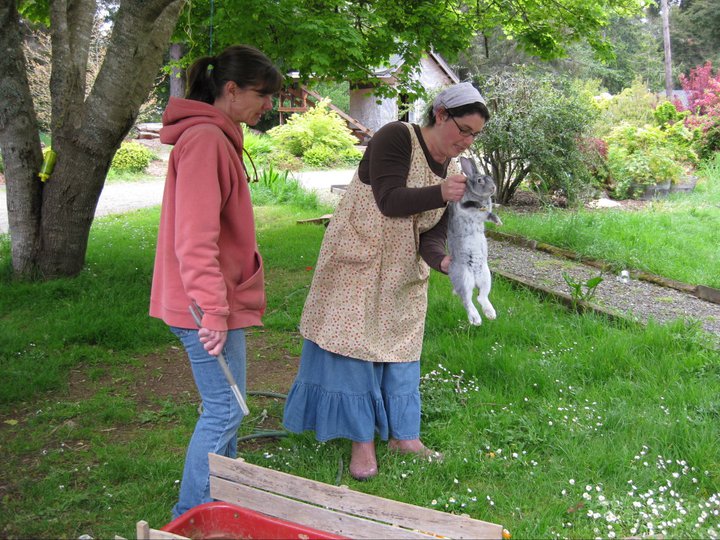 Mountain Home Quilts: Butchering Rabbits and a Recipe For Them!
