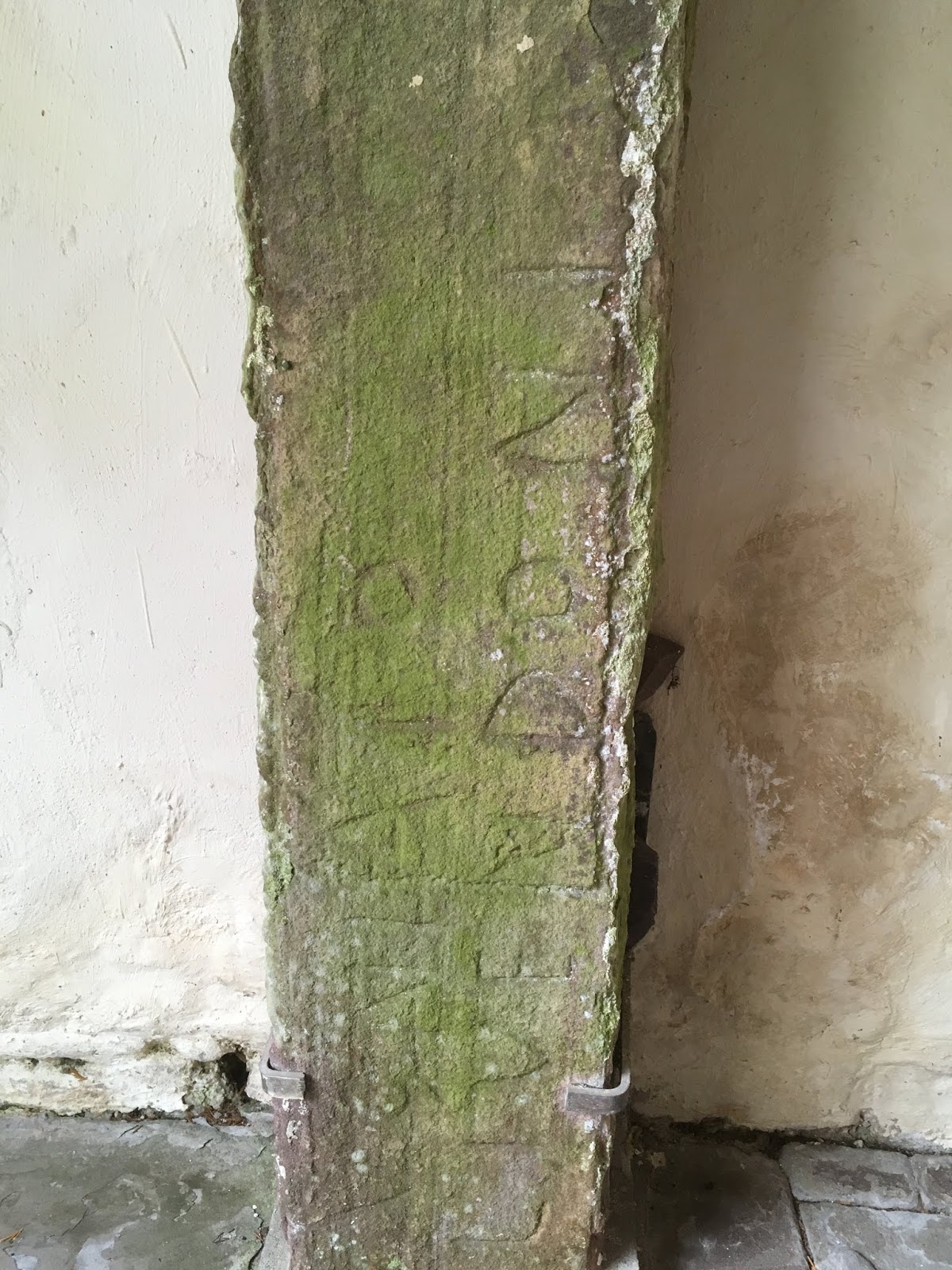 The History Girls: The Defynnog Yew, a remarkable tree! by Katherine ...