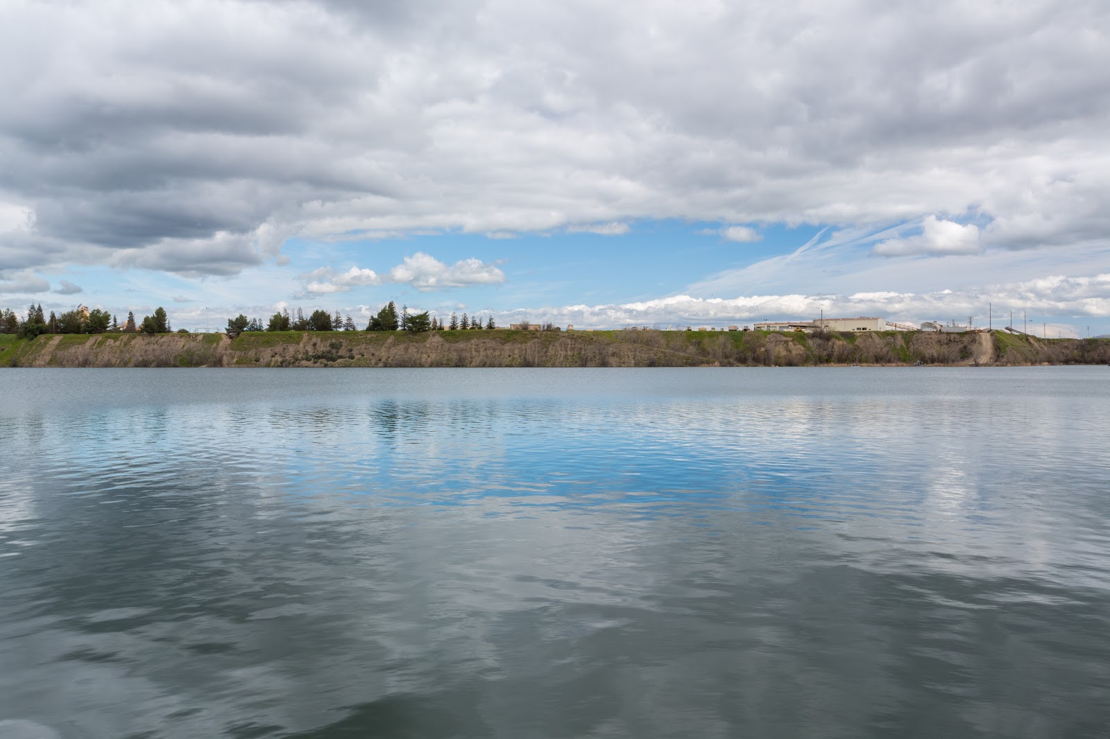 Naturetastic Blog: Shadow Cliffs Regional Park (3/4/2017) - Pleasanton, CA