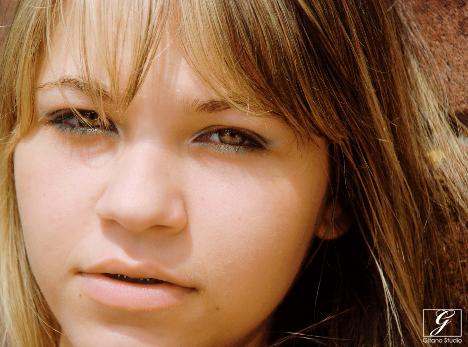 Gitano Studio: Book de Alice Lima