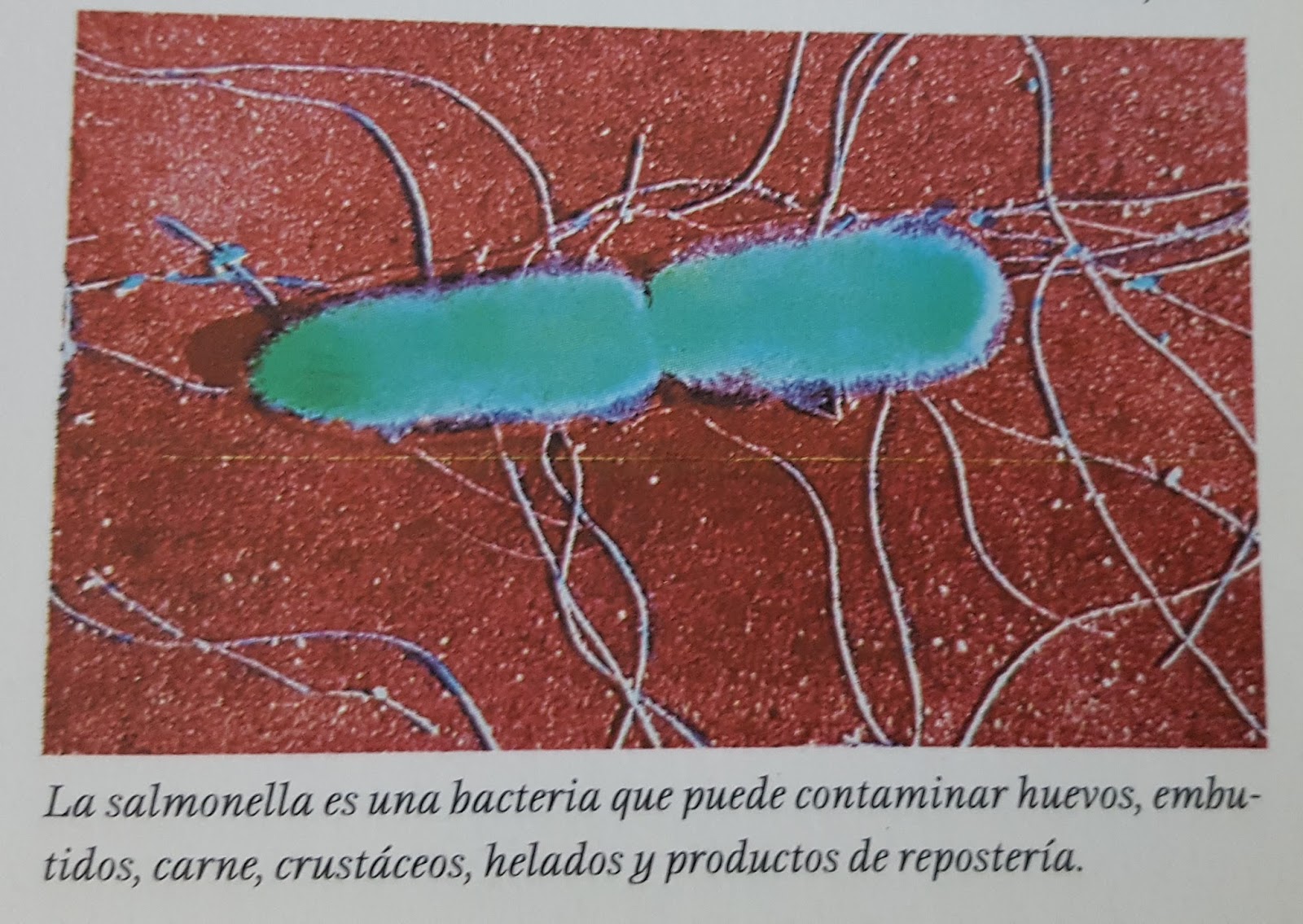 Gastroenteritis: Causas, Sintomas y Tratamiento | Salud y Cuidados