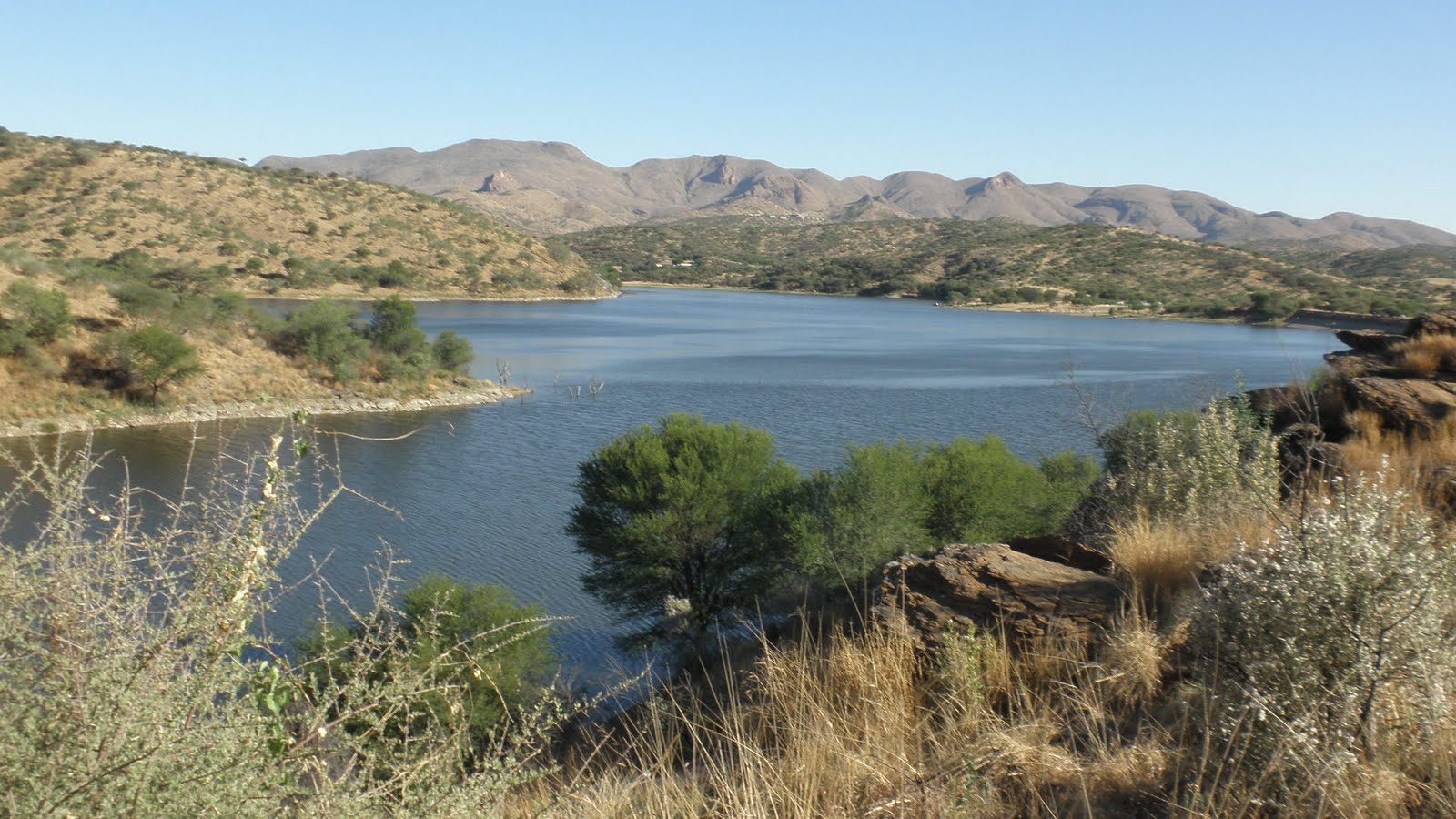 run, gloria, run!: finding water at avis dam