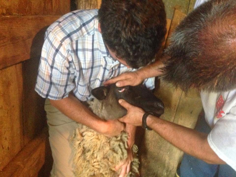 Inside Extension: Extension Interns: Getting in the groove of being an ...