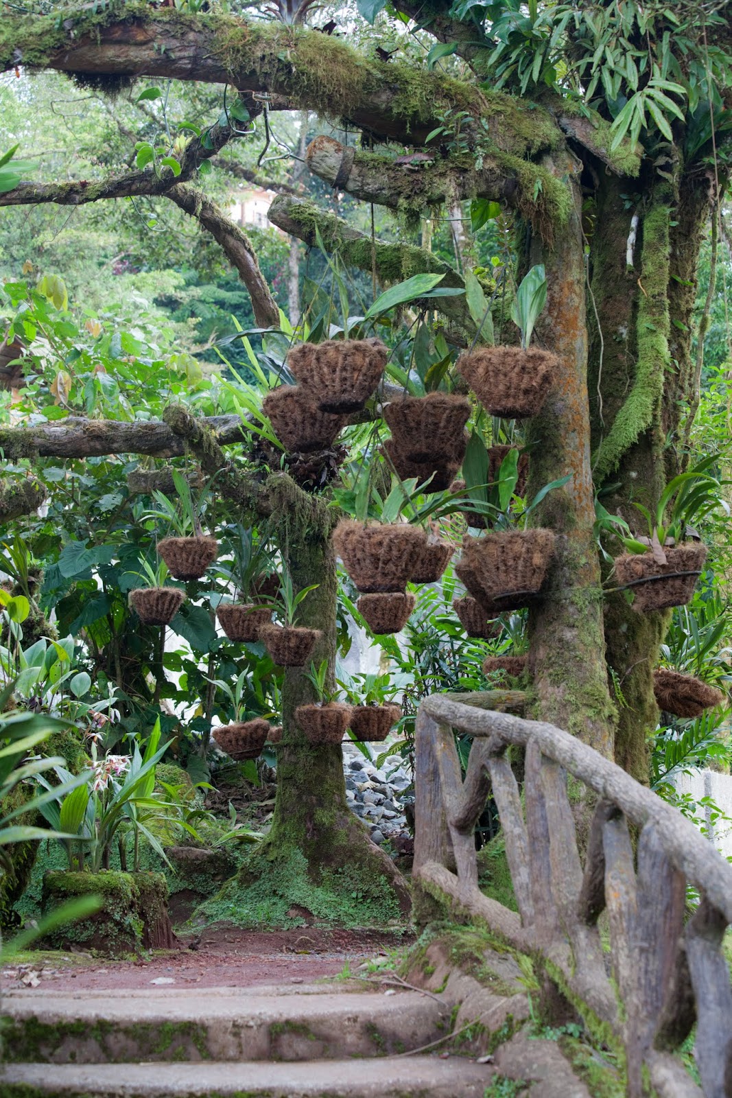 2-in-1: Zoo and Nature Park in Costa Rica - Explore the World with ...