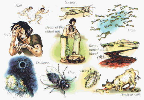 MOISÉS REGRESA A EGIPTO. LAS PLAGAS