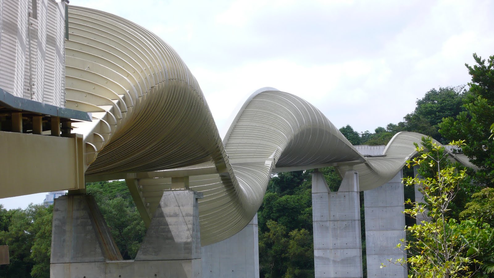 Henderson Waves Bridge - Singapore ~ World Travel Destinations
