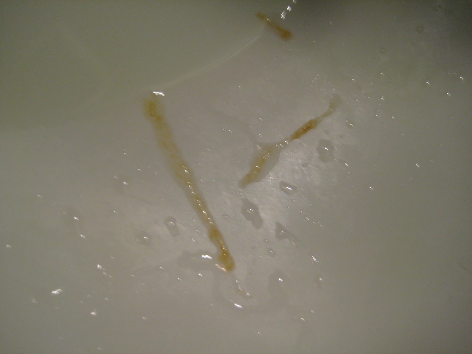 The Parasite Gallery