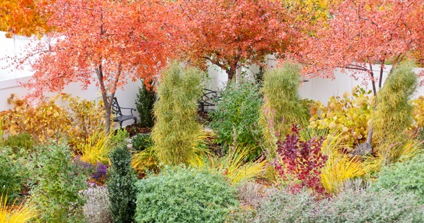 VW Garden: The Colors of October