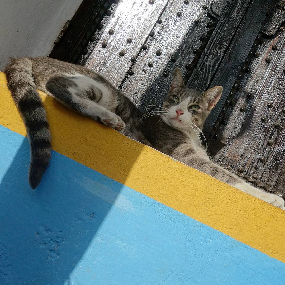 Anca Vieru: Maroc - câteva poze din Rabat