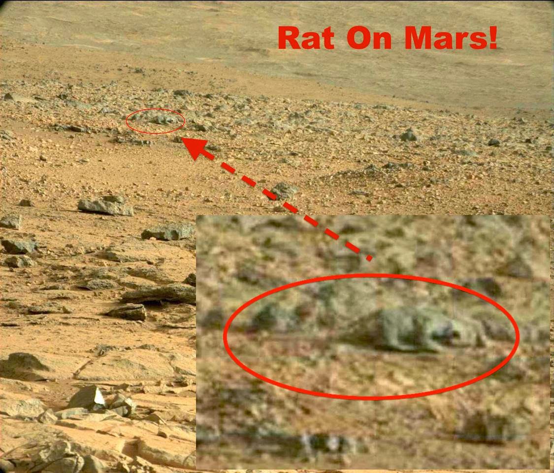 Real Images Of Mars By Nasa