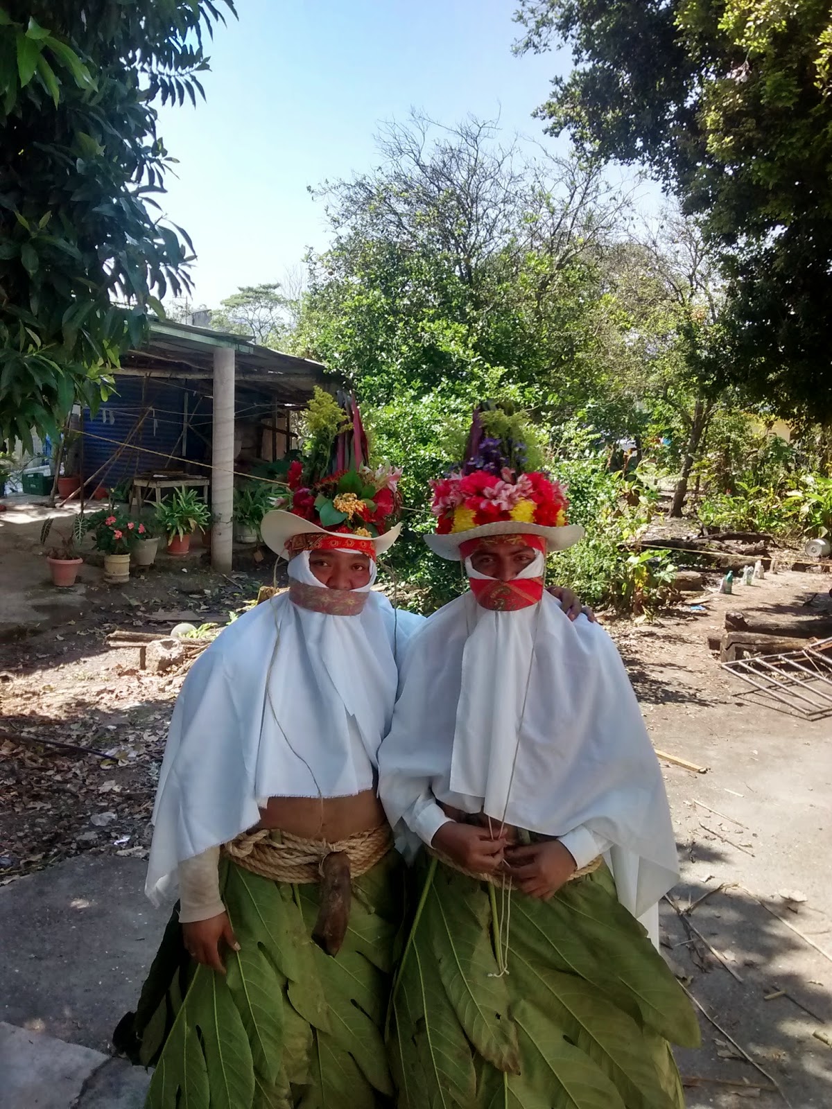 Danza del Pochó: ELEMENTOS DEL COJOE