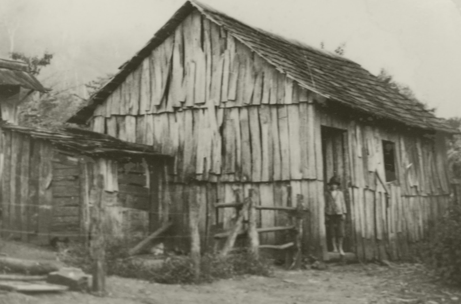 REBEL: Wild Capitalism