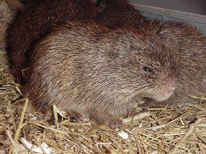 ACravan: Salt To Taste