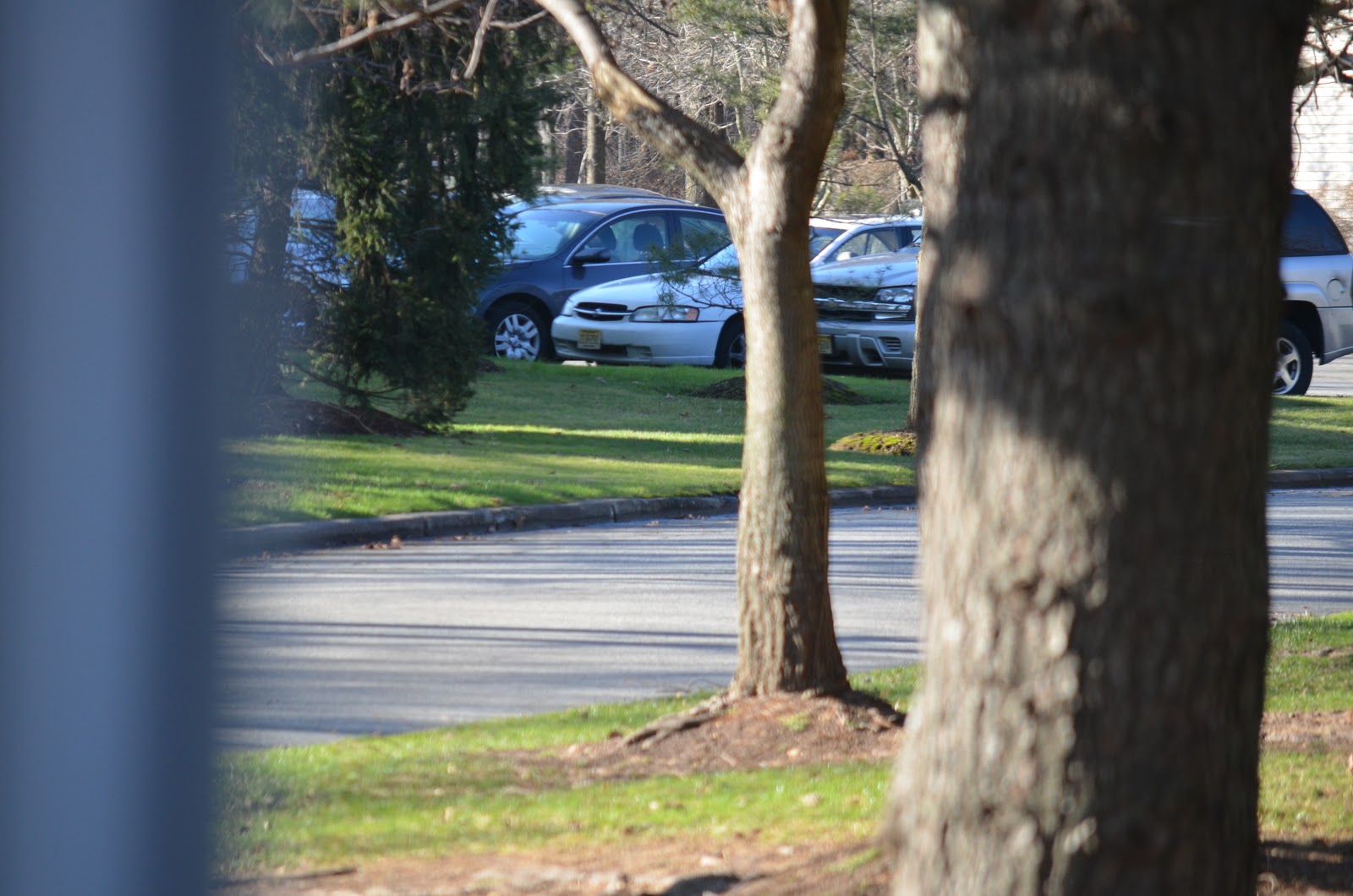 KCurtin Photography: DOF Messing Around