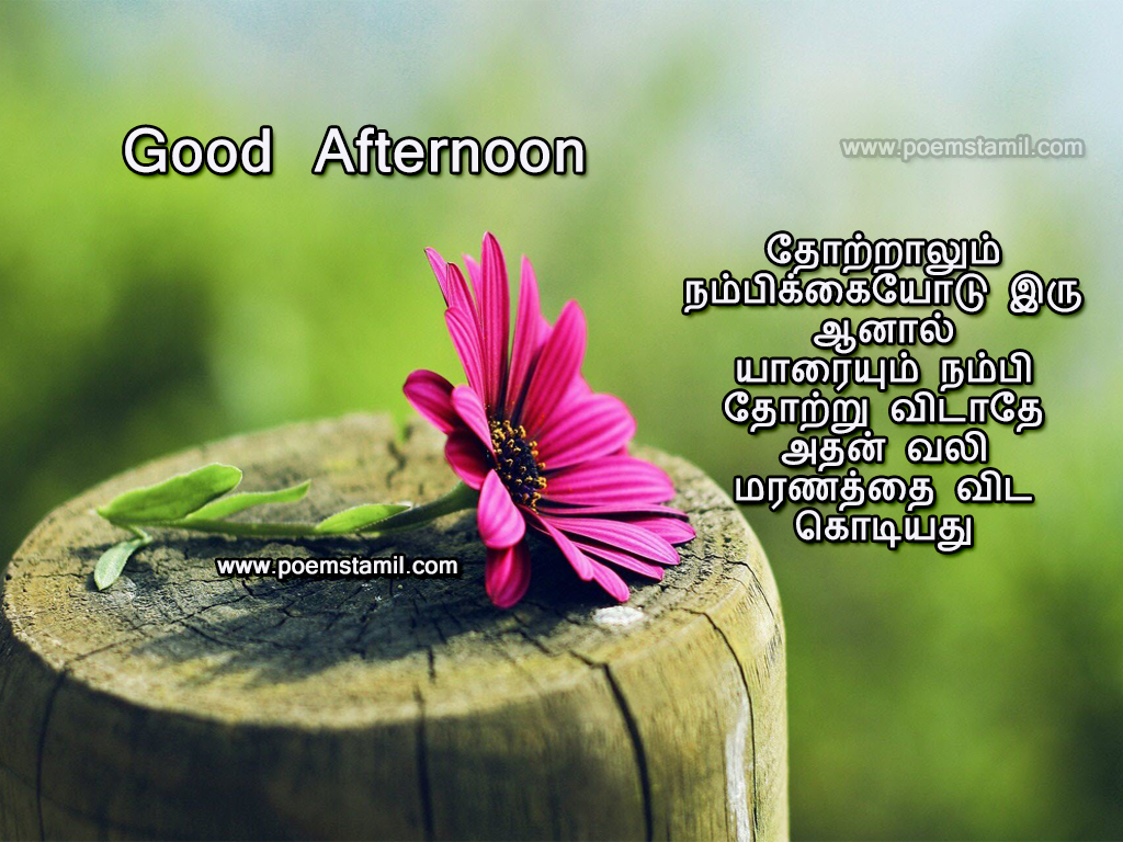 Good Afternoon Kavithai Good Afternoon Kavithai In Tamil good-afternoon-kavithai-good-afternoon-kavithai-in-tamil