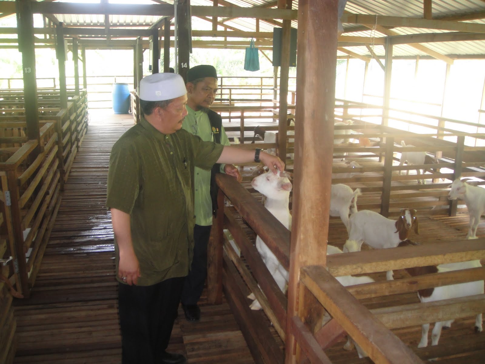 KHIDMAT MERU: LAWATAN KE PENTERNAKAN KAMBING DI KANDANG