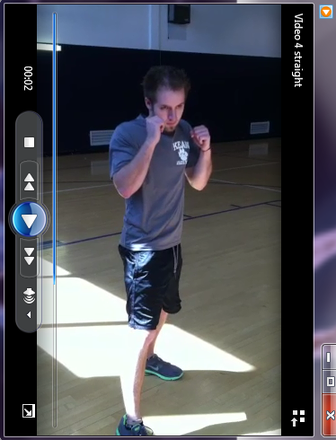 Movement Analysis Blog: Straight Punch Stance