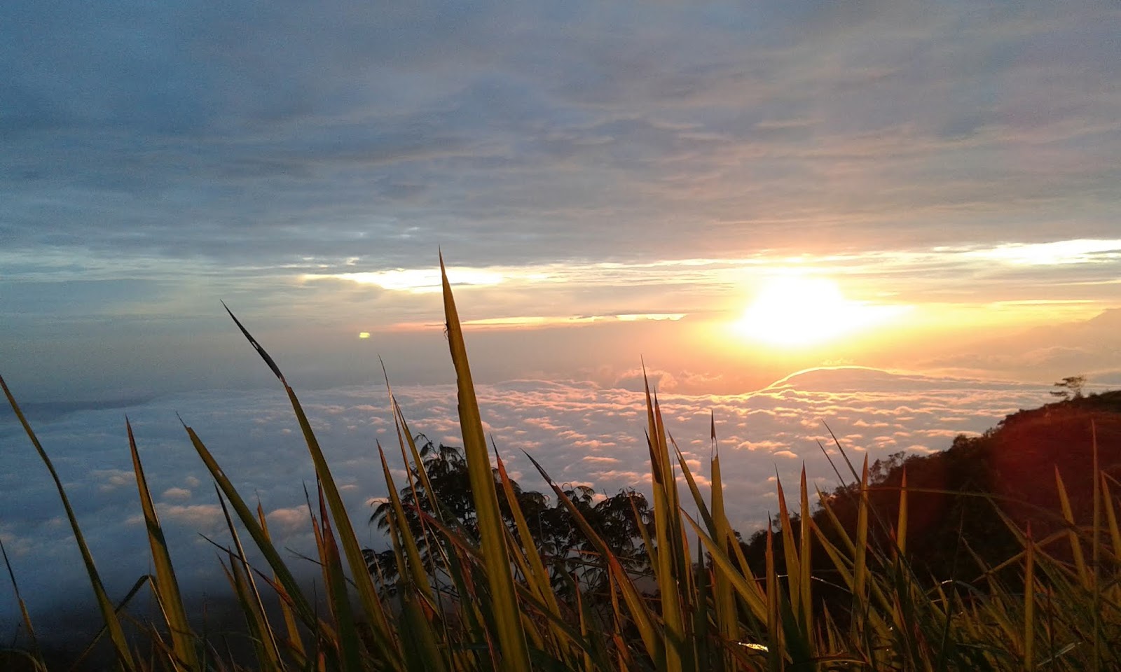 Mendaki Gunung Sigandul Via Dadapan Wonoboyo Temanggung - Santri Dan Alam