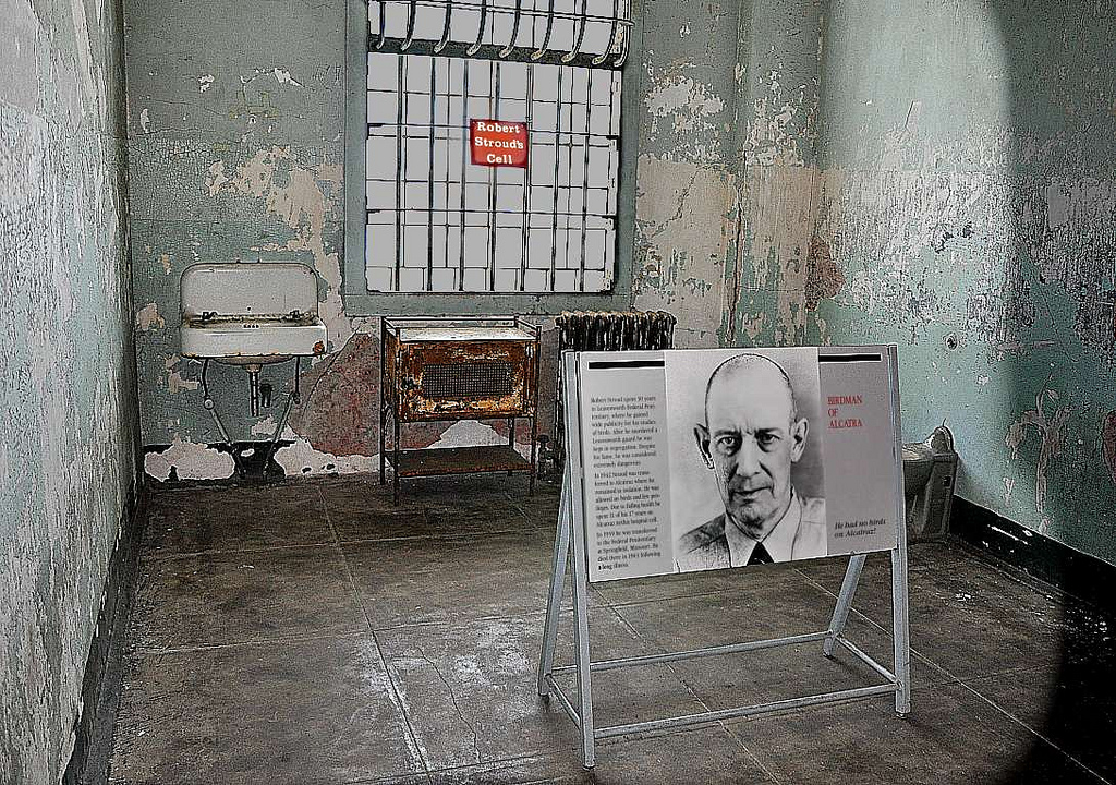 Dinge en Goete (Things and Stuff): This Day in Crime History: NOVEMBER ...