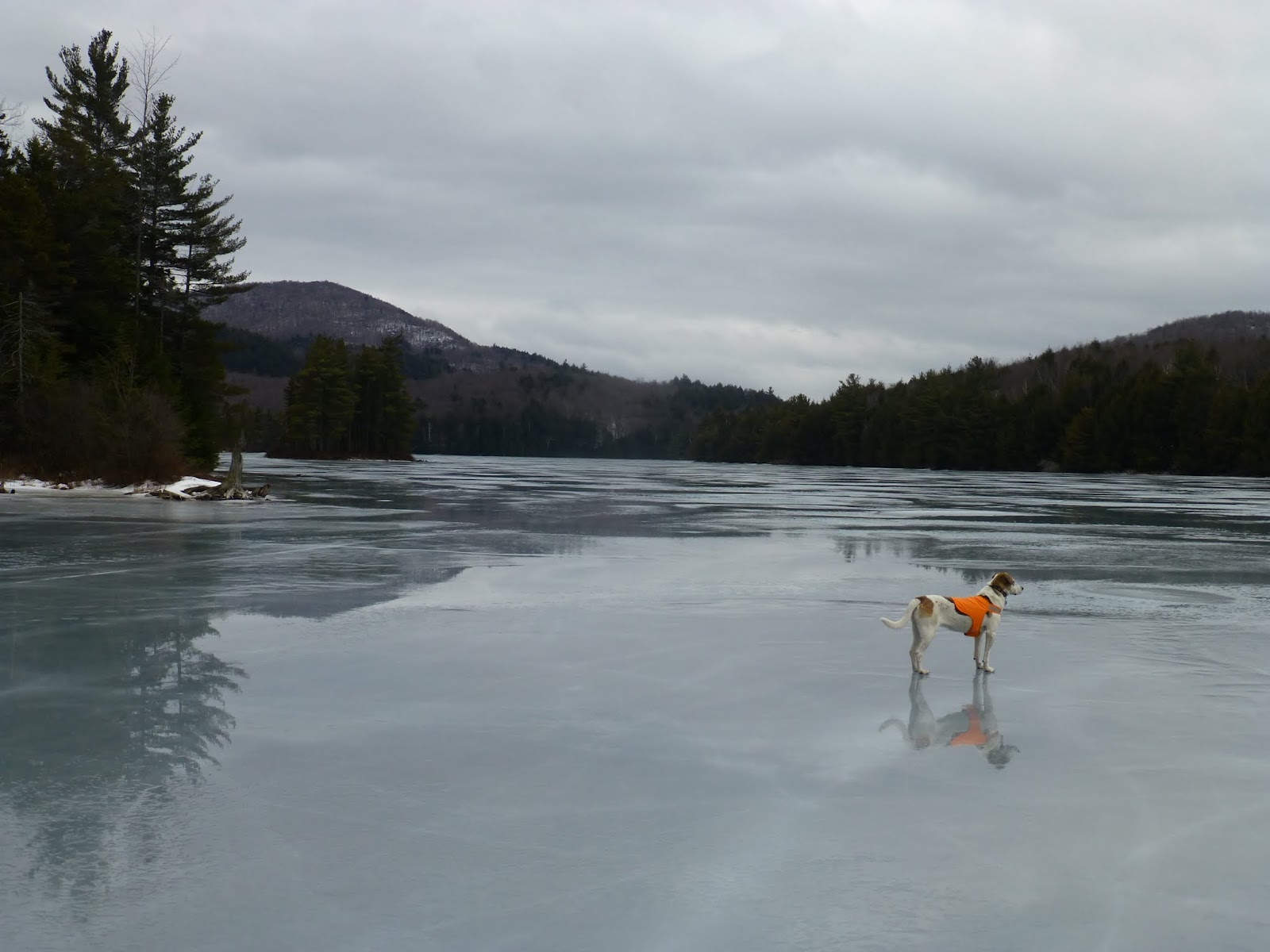 Off on Adventure: Jabe Pond and Surrounding Hills - Lake George Wild ...