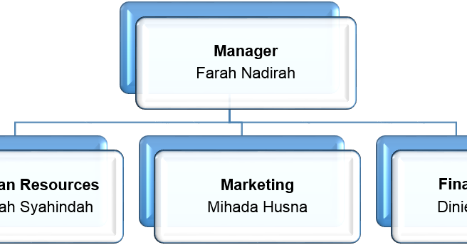 3PS Logistics: COMPANY ORGANIZATION (Organization Chart of 3PS Logistics)