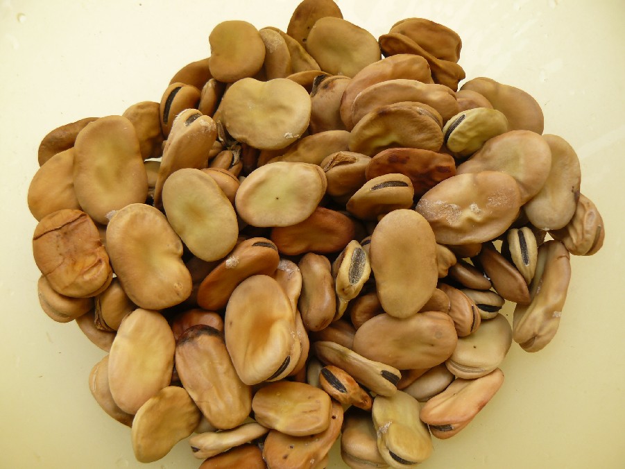 Outras Comidas: Fava Rica