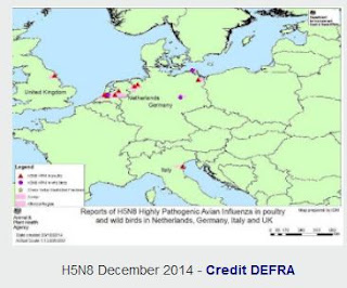 Avian Flu Diary: FAO Notification Of H5N8 In Hungary