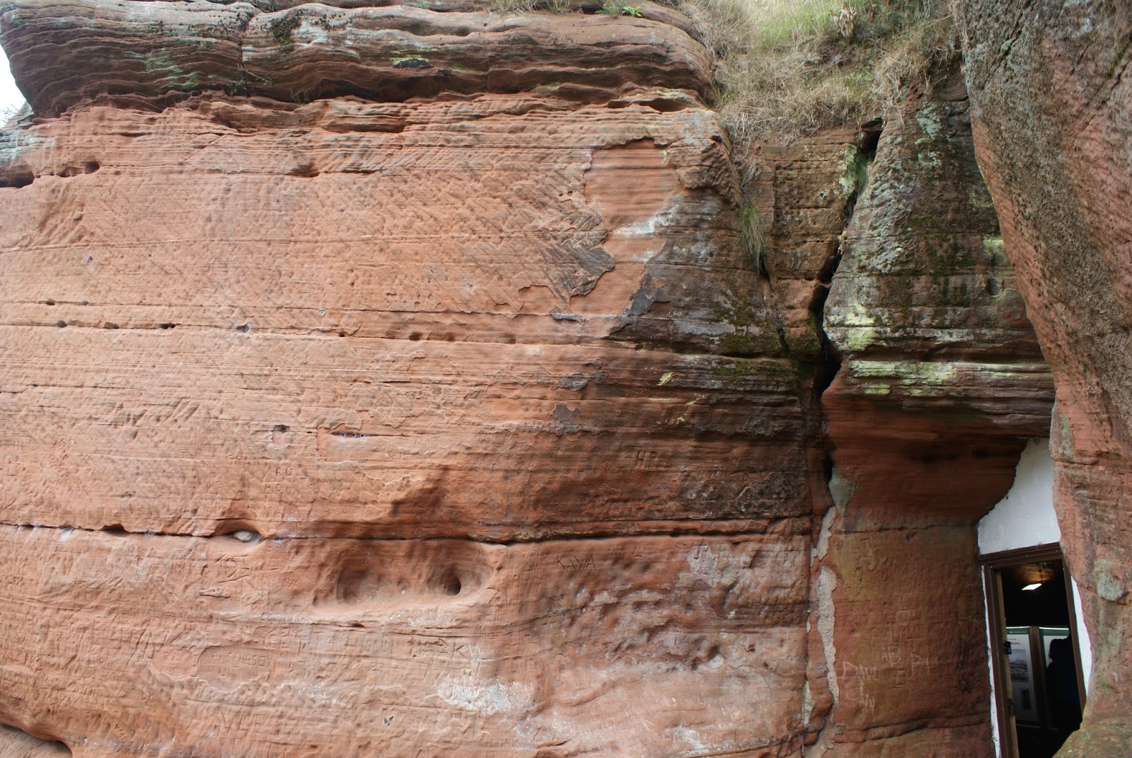 Kinver and Enville Flora and Fauna (SO88): Kinver Rock Houses (NT)