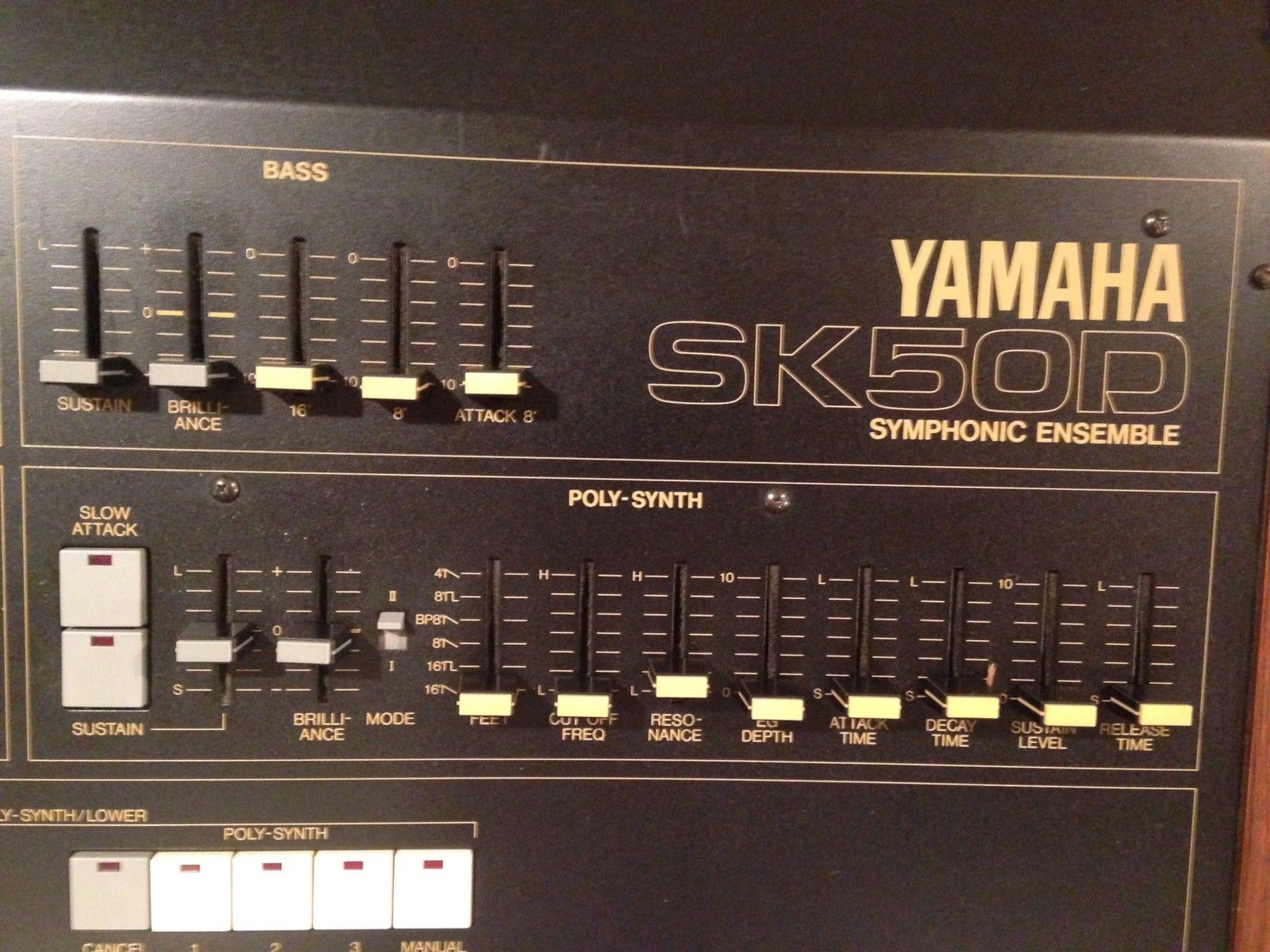 MATRIXSYNTH: Yamaha SK50D Double Manual Analog Synthesizer