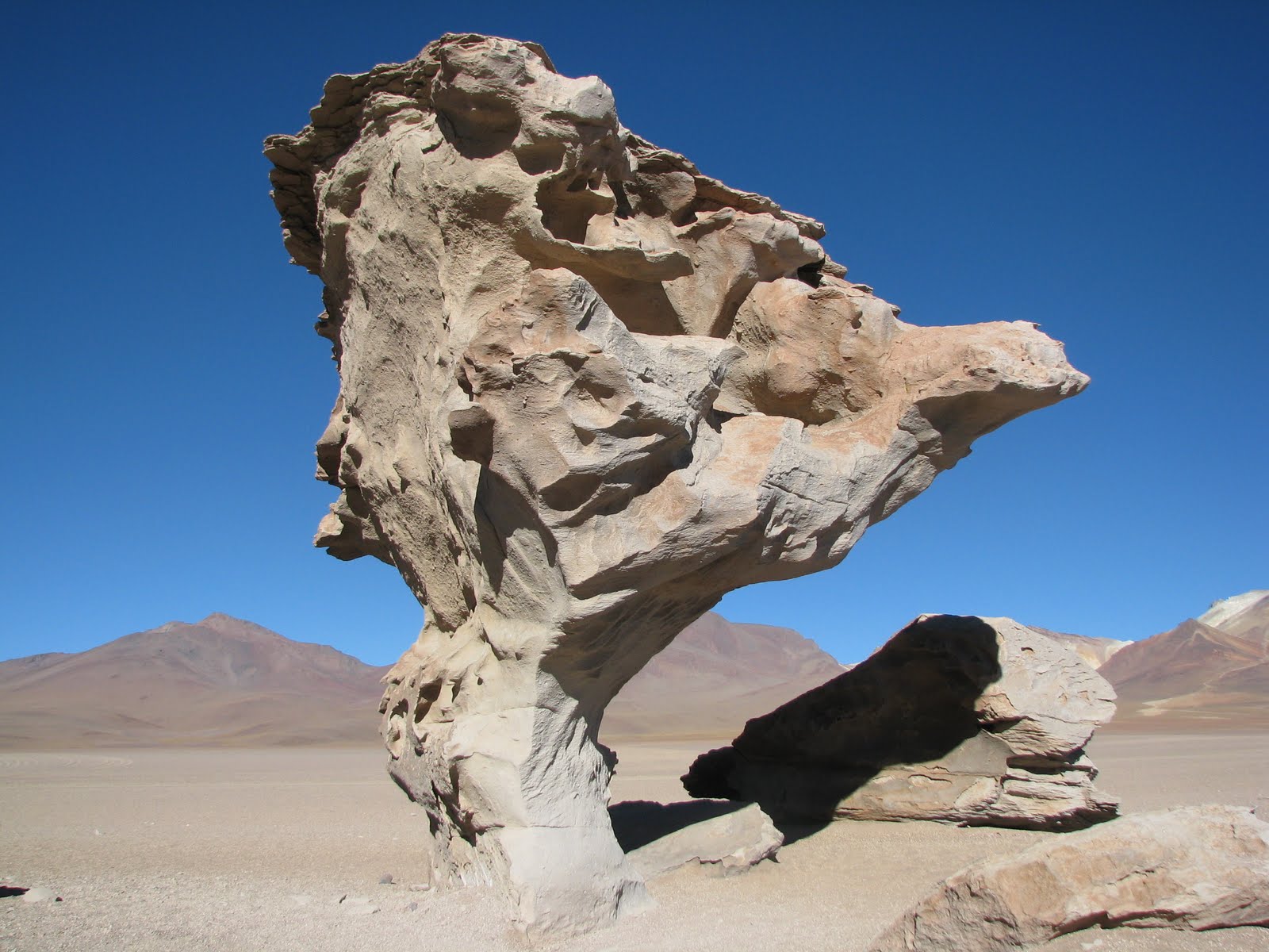 Family world travel and volunteering: Bolivia's Stone Tree ...