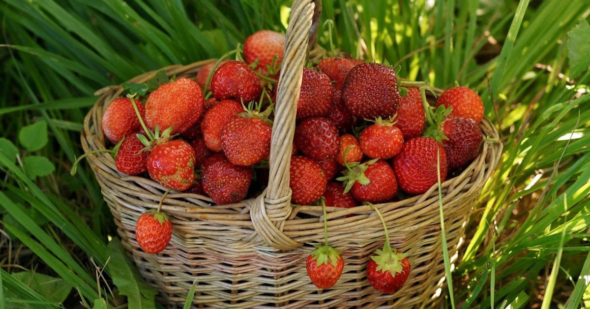 Sfaturi Utile: Cura cu căpșuni