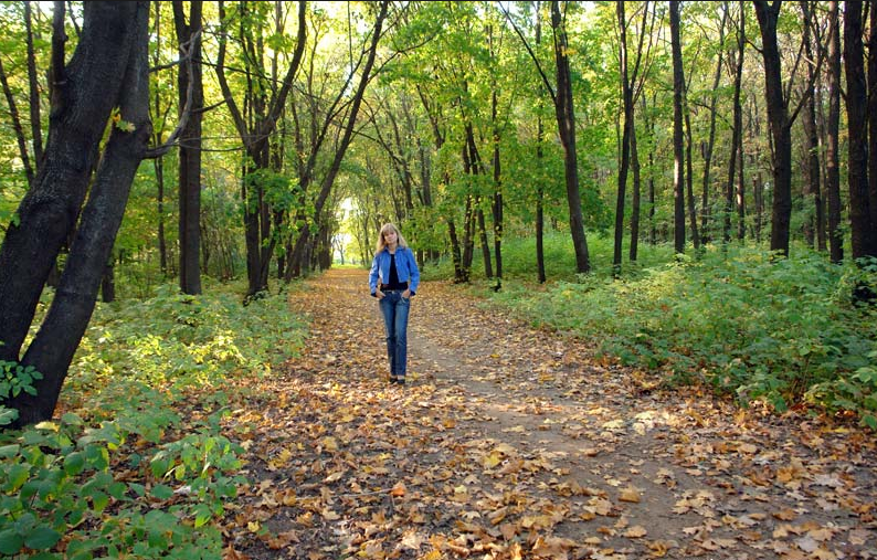 Teknik fotografi I 12 cara mengambil fotografi menjadi terlihat ...