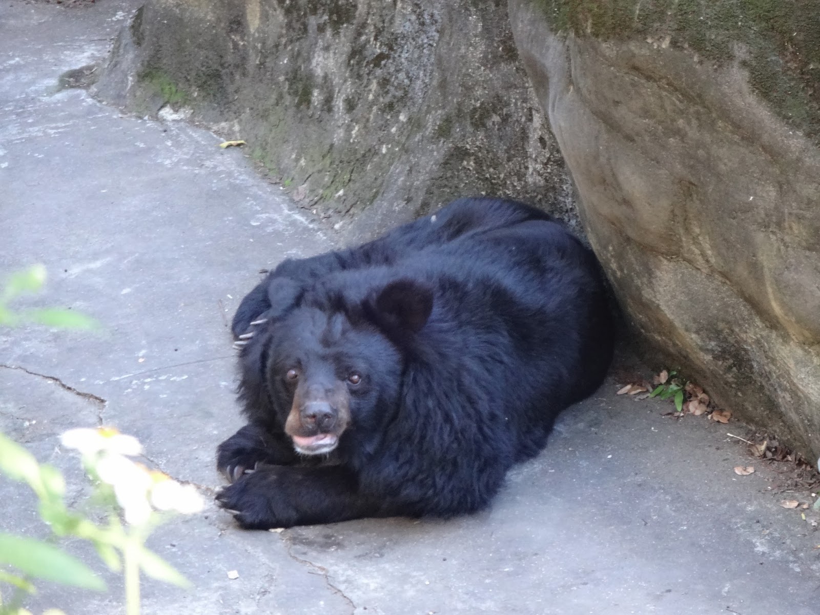 Tang's Taiwan: January 2014