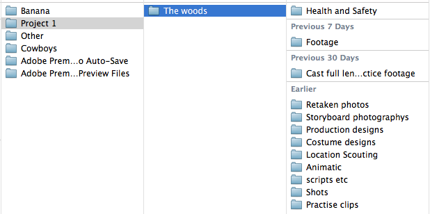 Dana's Media Blog: P1. Metadata - Folder structure
