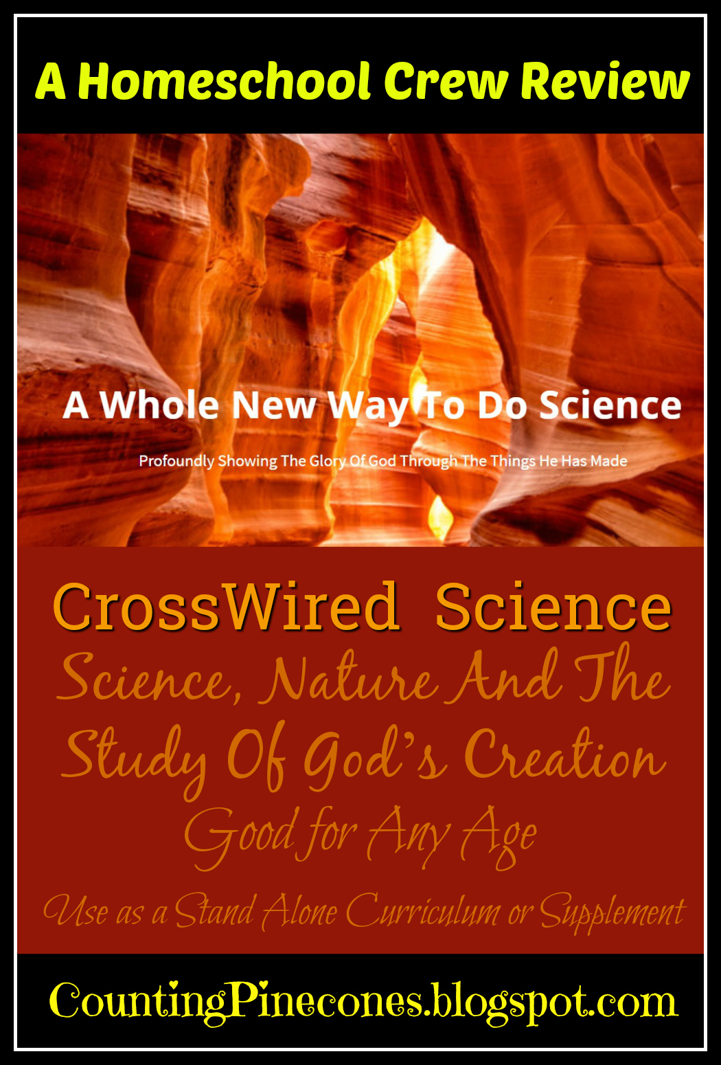 Counting Pinecones: CrossWired Science (A Homeschool Crew Review)