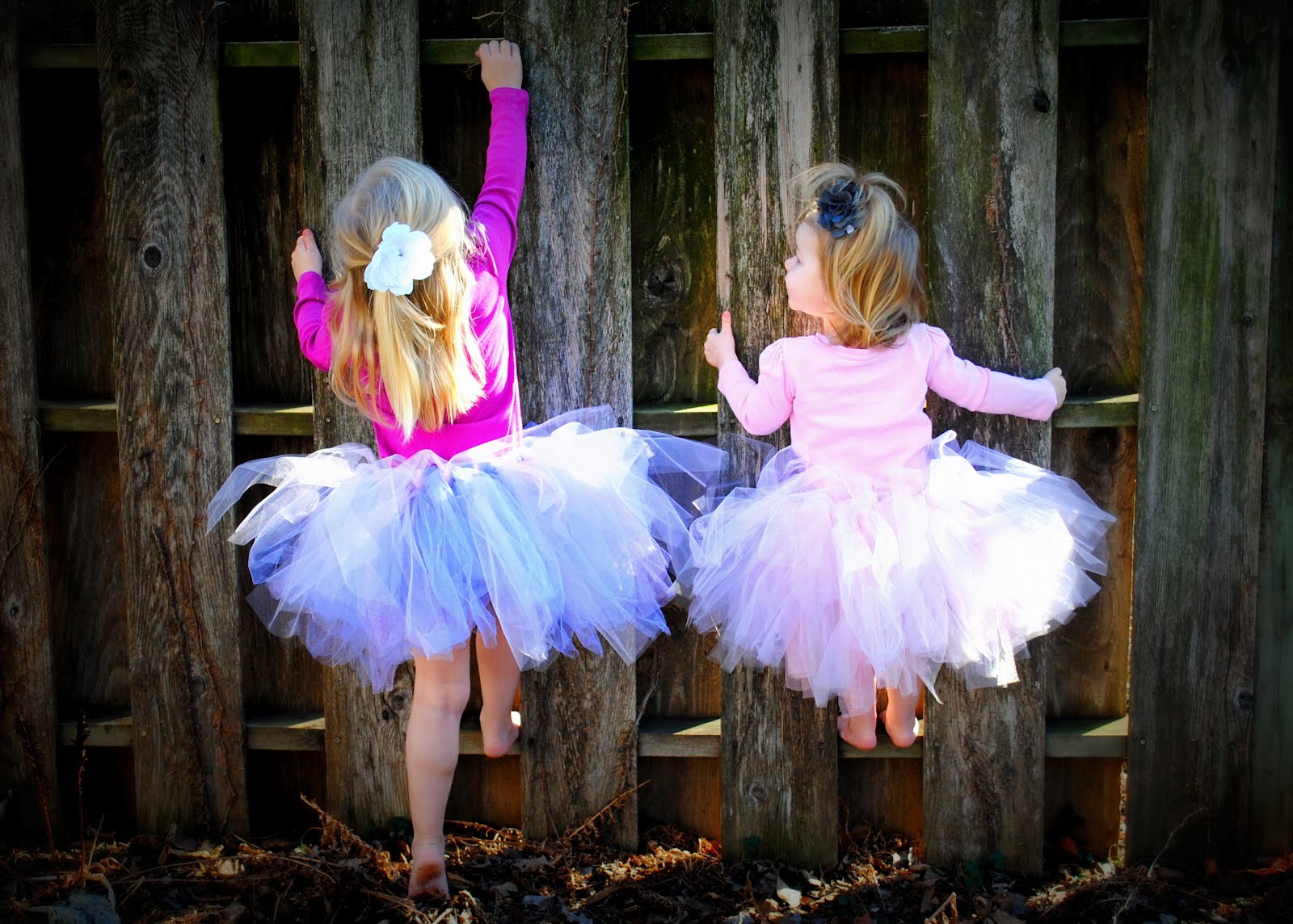 The Evans Family Blog: Tu-Tu girls