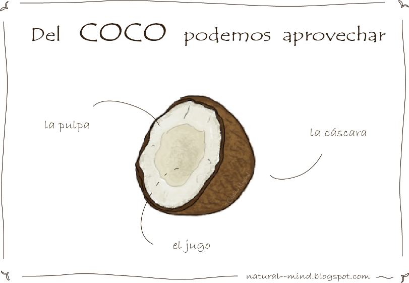 Natural Mind: COCO multiusos