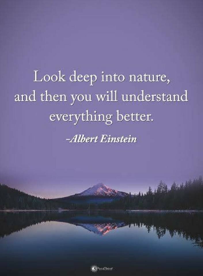 Look deep into nature, and then you will understand everything better ...