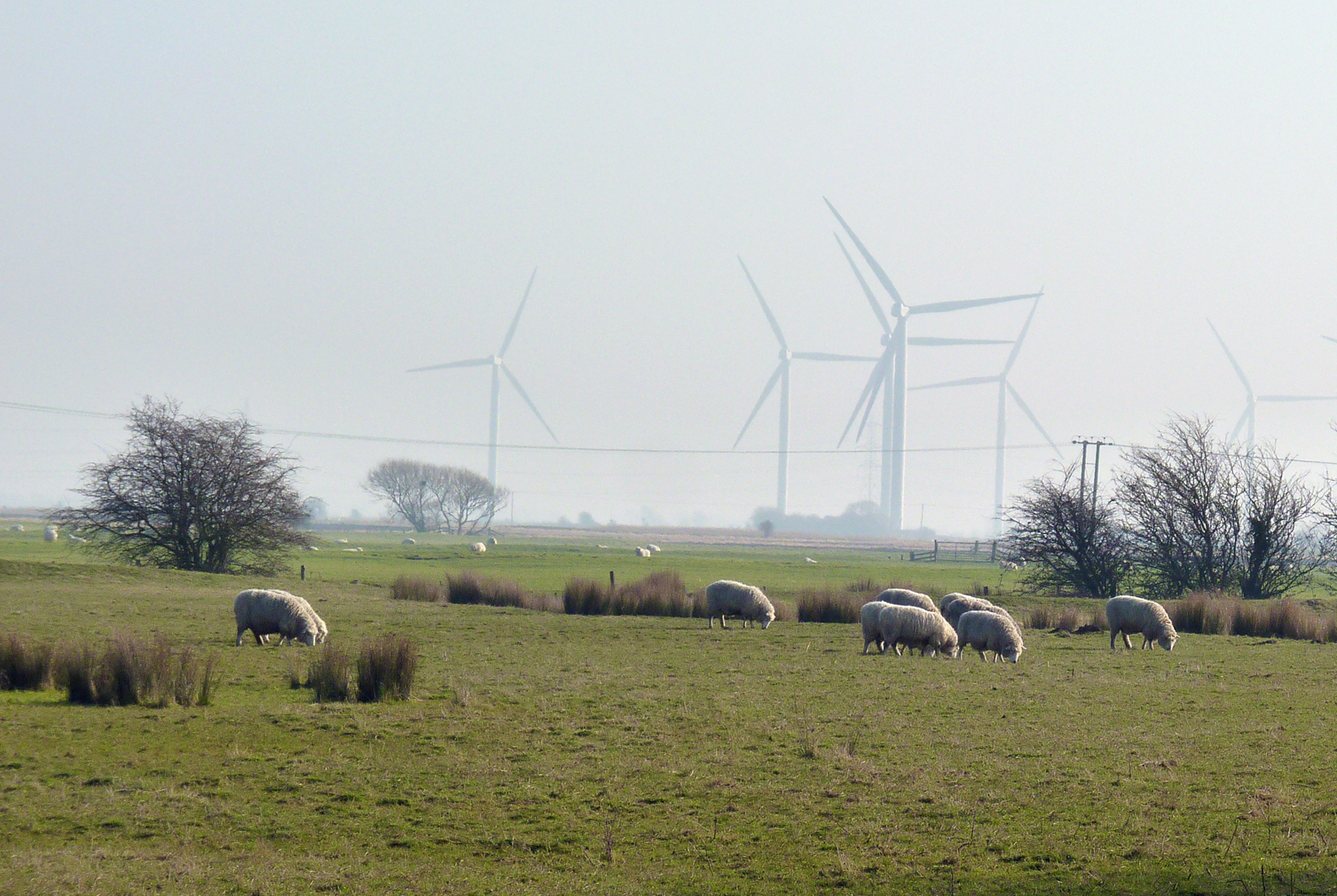 JJ's Photographic nature blog: Camber Sands and a pillbox...