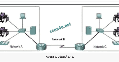 Cisco Ccna Exam Questions: Refer to the exhibit. Which three labels ...
