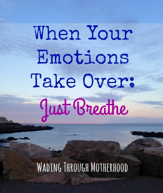 Wading Through Motherhood: When Your Emotions Take Over: Just Breathe