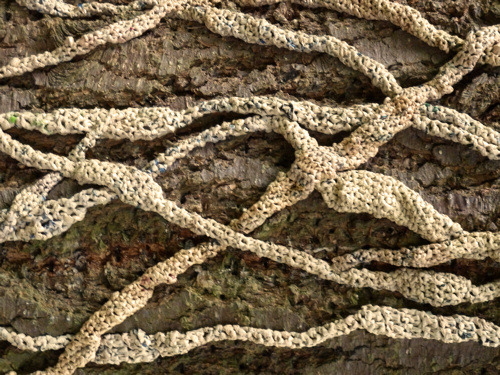 Barbara De Pirro 'biomimicry': 'roots & vines', Port Angeles