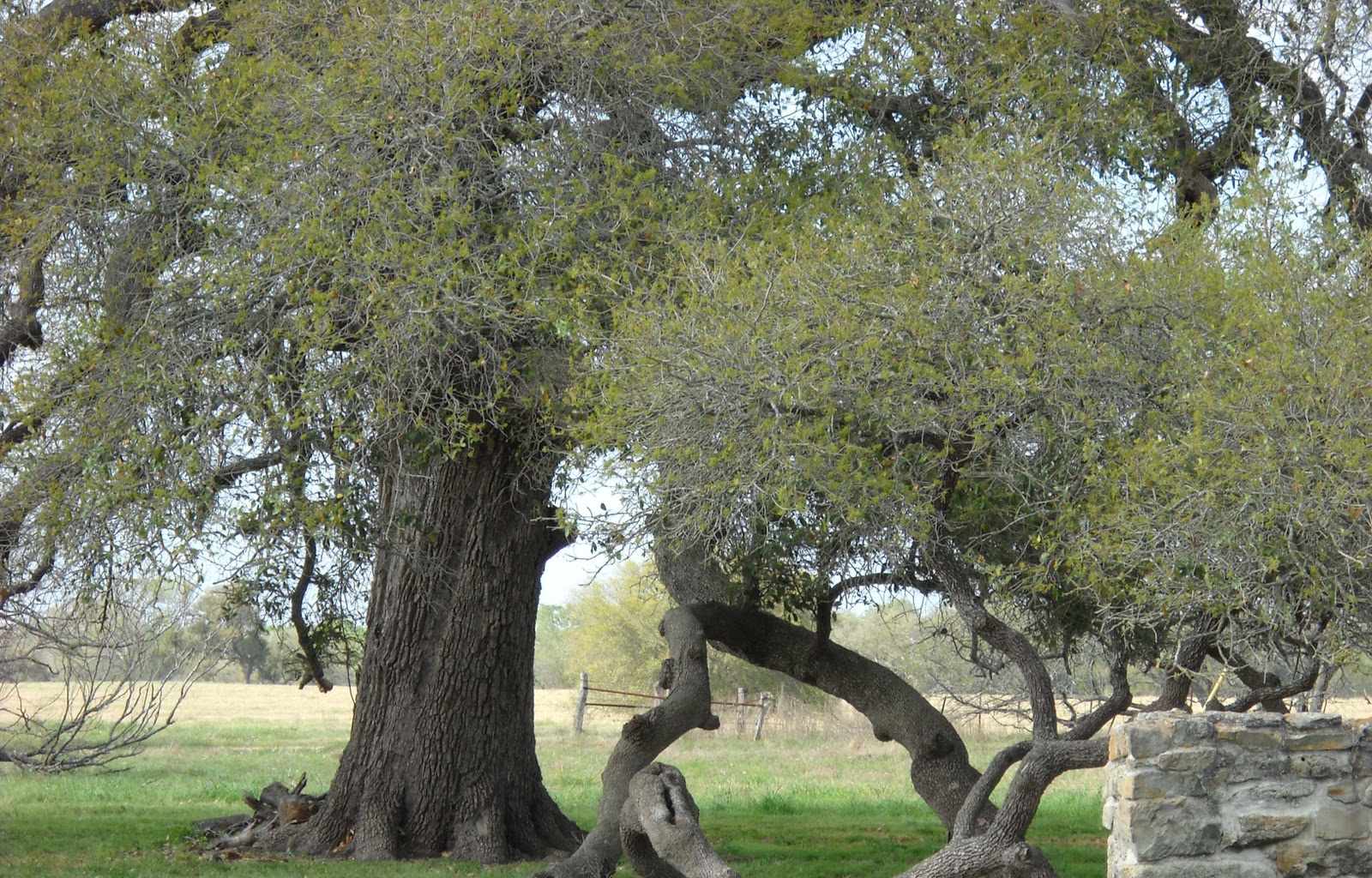 Stonebridge: Road Trips