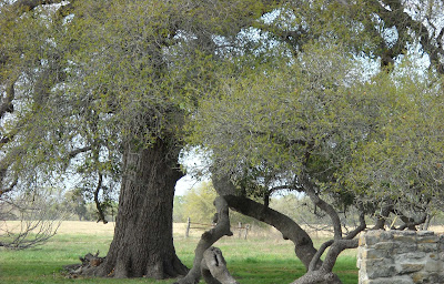 Stonebridge: Road Trips