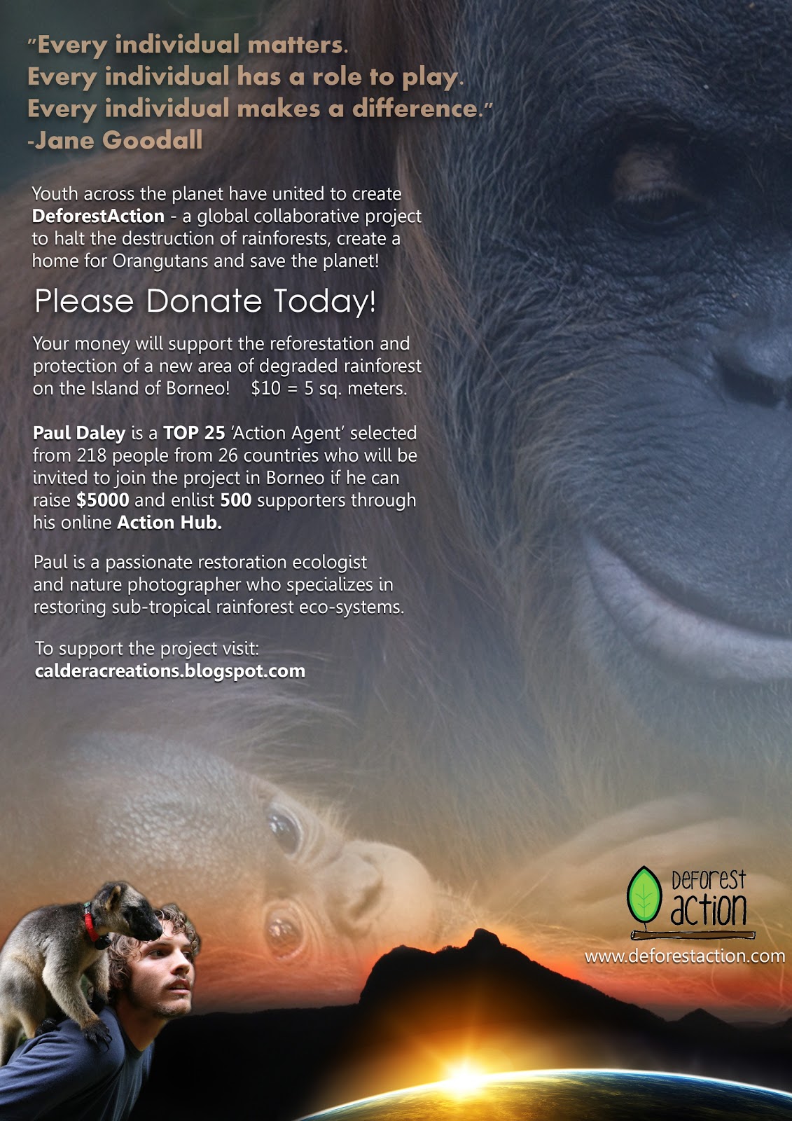 a lush forest: March 2011