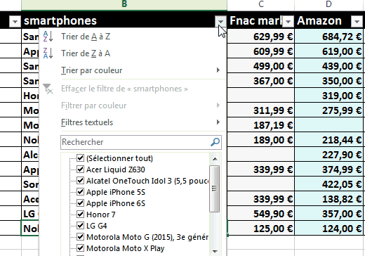 Comment créer des filtres textuels ? | Formation Excel