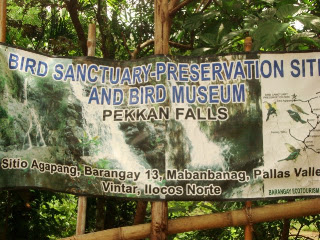 Wow Trip to Pekkan Falls!