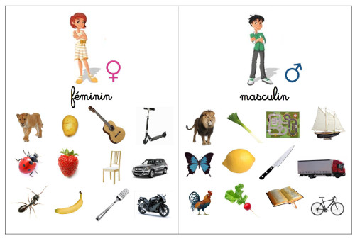 Crapouillotage: FEMININ ou MASCULIN