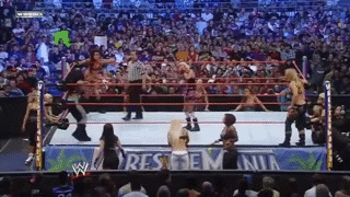 Ashley Massaro - Wᴏʀʟᴅ Wʀᴇsᴛʟɪɴɢ Gɪғs