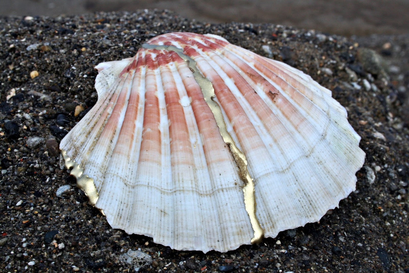 AT THE BOTTOM OF THE SEA...